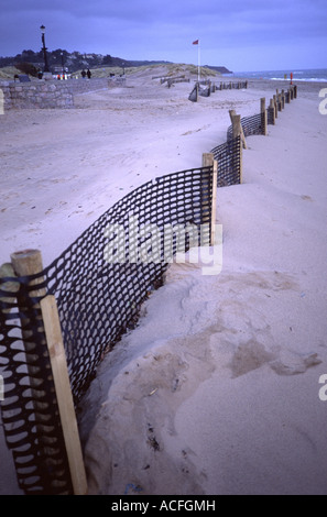Sand Dunes, Exmouth, Devon, UK Stock Photo - Alamy