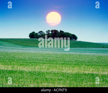 Winterslow; Summer; Wiltshire; UK Stock Photo - Alamy