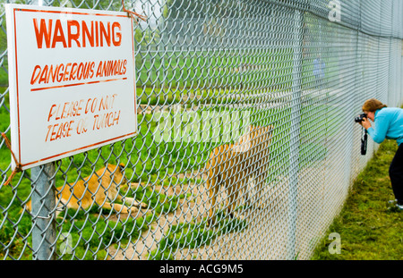 Lion's enclosure sign at a zoo Stock Photo - Alamy