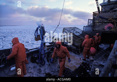 Fisherman and King Crab Bering Sea SW AK/nf/v Amatuli Stock Photo - Alamy