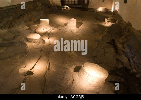 Fossil Grove at Victoria Park Glasgow, Scotland GB UK fossilized trees ...