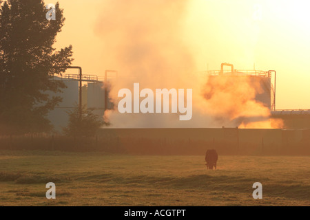 Kerry Bio-Science Yeast Factory at Menstrie, Clackmannanshire Stock ...