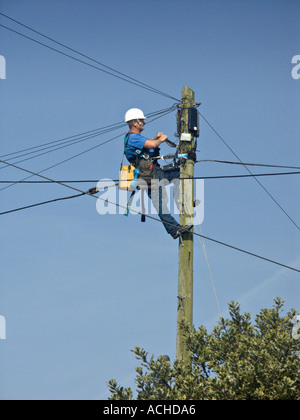 Telephone engineer working up a telegraph pole. Picture by James ...