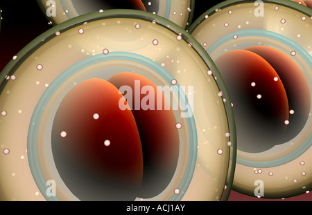 The structure of MRSA Stock Photo - Alamy