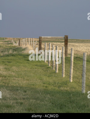 Montana. Wheat Field And Hills With Fence Stock Photo - Alamy