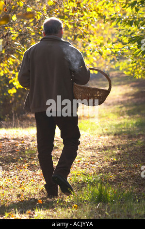 Hugues Martin, the owner of the truffles farm showing how you use a ...