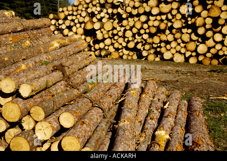 Cut and staked lumber Stock Photo - Alamy