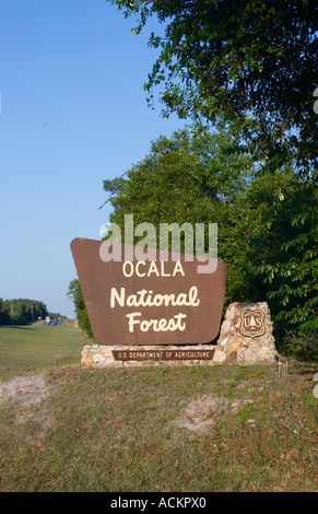 Ocala National Forest Sign Along State Road 40 Near Ocala, Florida ...