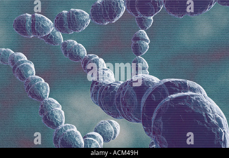 Streptococcus pyogenes bacteria and other streptococci as a cause of ...