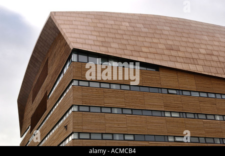 Steel roof treated with copper oxide and timber cladding exterior ...