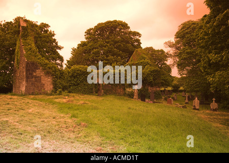 The ruins of New Church Lough Gur Bruff Co Limerick Ireland Stock Photo ...