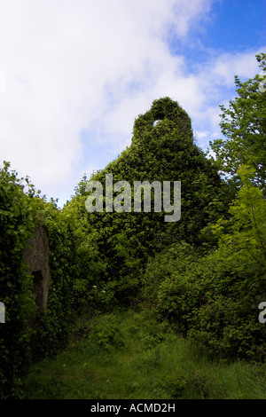 The ruins of New Church Lough Gur Bruff Co Limerick Ireland Stock Photo ...