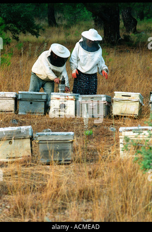 Male and female bee keepers in uniforms holding wooden crates isolated ...