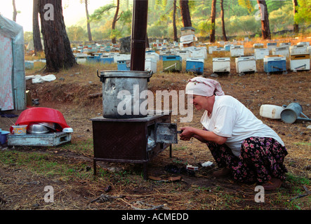 Female migrant bee keeper next to her temporary home preparing food for ...