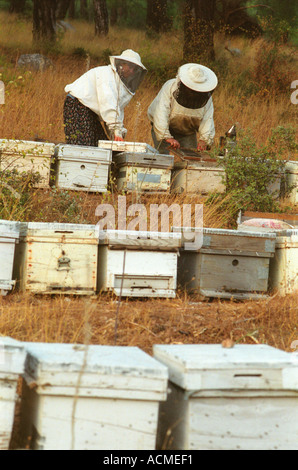 Male and female bee keepers in uniforms holding wooden crates isolated ...
