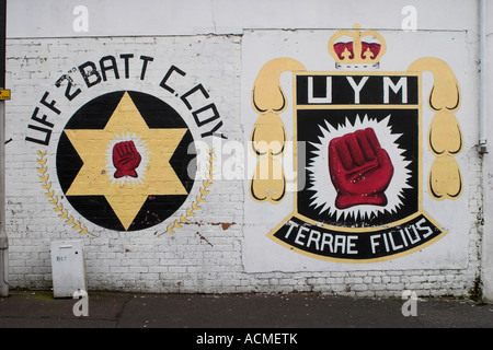 Mural with UDA emblem and UDA and UFF flags Shankill Road Belfast Stock ...