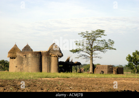 Togo, West Africa, Nadoba, traditional tata somba houses with thatched ...