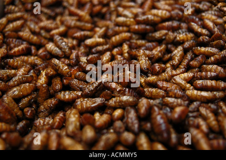 Fried cockroaches - street food of Cambodia Stock Photo - Alamy