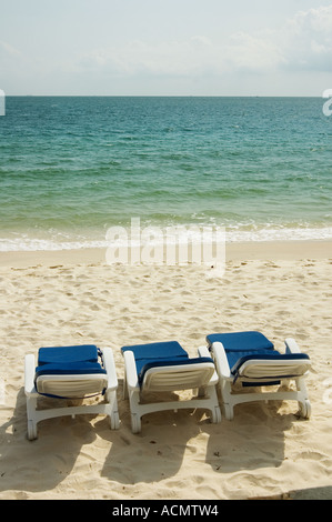 relaxing beach scene with reclining beach chairs and palm trees in ...