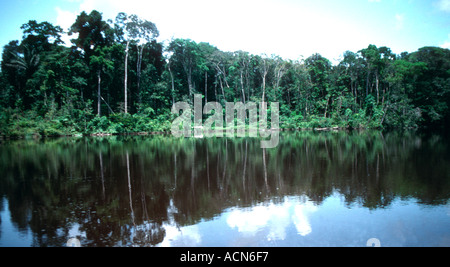 Mazaruni river Guyana South America Stock Photo - Alamy
