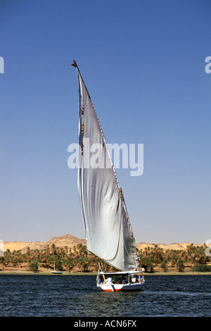 Felucca sail boat at the river Nile in Luxor, Egypt Stock Photo - Alamy