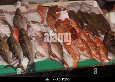 Fish Market Olivar, Palma de Mallorca, typical historical central ...