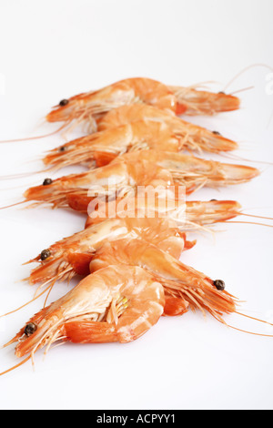 row of raw prawns Stock Photo - Alamy