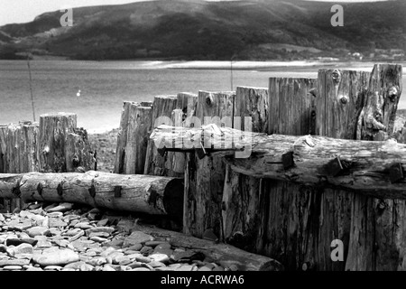 Rotting wooden stumps on pebble beach Stock Photo - Alamy