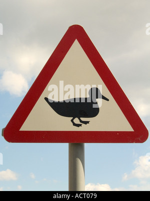 Beware of Ducks Stock Photo - Alamy