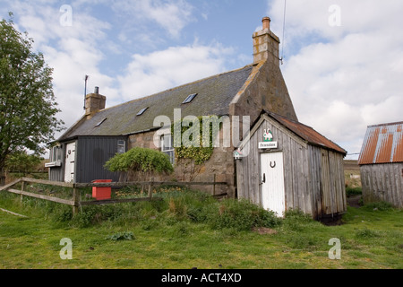 Traditional Scottish Croft; Stone built cottage covered in ivy greenery ...