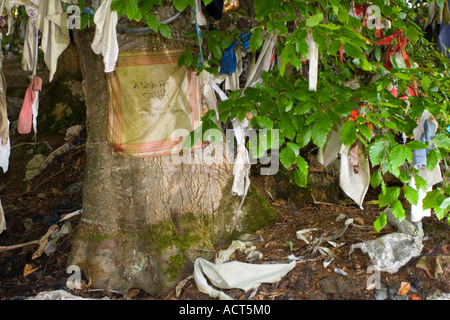 Hanging Rags, cloths & clothes on trees. Scottish folklore and ...