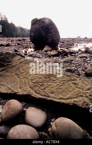 Ozette petroglyph whale wedding Rocks Olympic Coast Olympic National ...