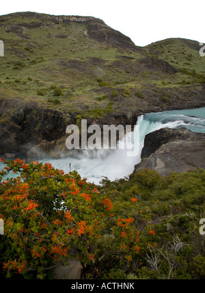 Waterfall in Torres del Paine National Park, Patagonia, Chile Stock ...