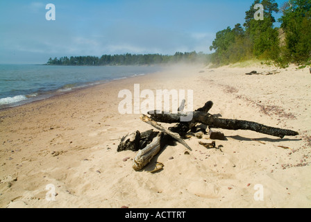VIEW OF HALF BURNT LOGS FROM A CAMP FIRE ON A MISTY BEACH LINED BY ...