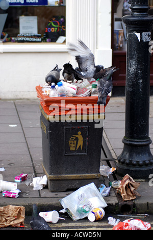 Feral pigeons feeding on litter bin, Oxford city centre, Oxfordshire ...