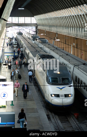 AVE high speed train traveling along the valley. Los Pedroches, Cordoba ...