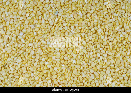 Mung bean (Phaseolus radiatus) yellow (Vigna mungo) (Phaseolus mungo ...