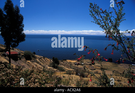 Agricultural terraces on the steep shore of Taquile island The still ...