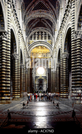 Sienna Cathedral ceiling detail Stock Photo - Alamy