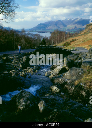 Derwent Water and Borrowdale as seen from Castlehead Wood viewpoint ...