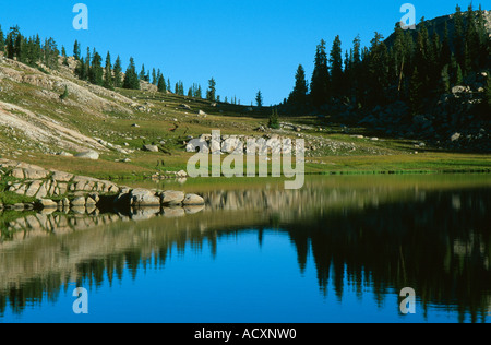 Lake Elbert in the Mt Zirkel wilderness area Routt County Colorado USA ...