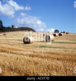 View of land on the Firle Estate near Lewes Sussex Stock Photo - Alamy