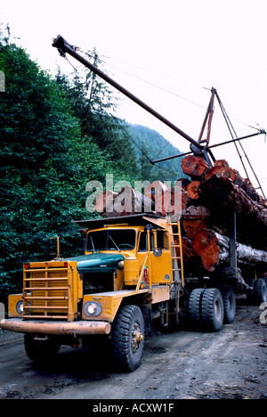 Grapple loader loading logs onto waiting logging truck. Cutblock just ...