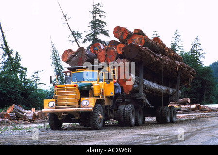 Logging truck on log haul road Alberta Canada Stock Photo - Alamy