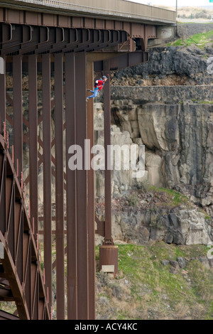 BASE jumping off the Perrine Bridge near Twin Falls ID Stock Photo ...