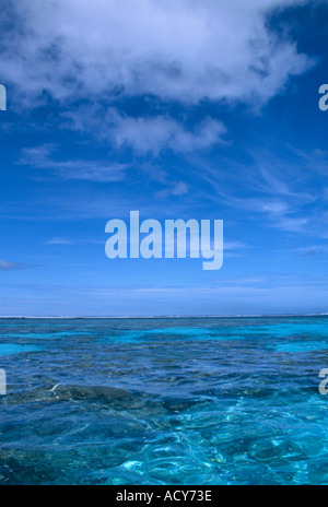 coral reef coral heads sea clouds blue sky Molokai in background Kahana ...