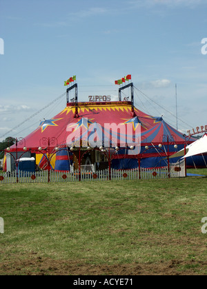 ANIMAL CIRCUS The most talented animals in China gather at the Luoyang ...