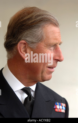 Upright portrait of HRH Prince Charles smiling - Prince of Wales Stock ...