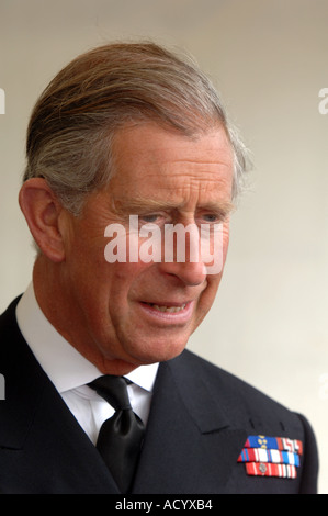 Upright portrait of HRH Prince Charles smiling - Prince of Wales Stock ...