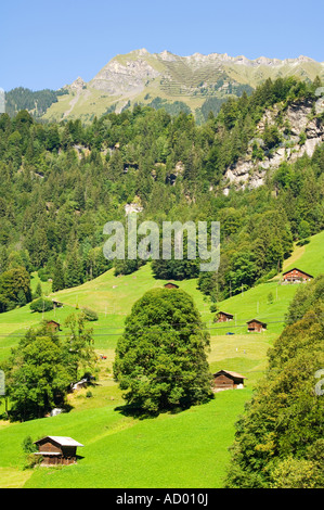 Alpine landscape with mountain huts in the Austrian Alps Bad Hofgastein ...